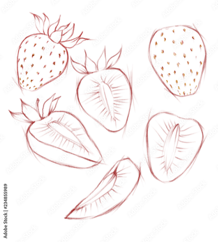 Hand drawn pencil illustration of the different line art strawberries ...