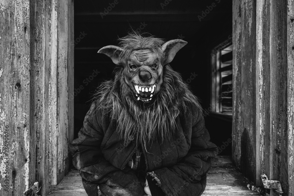 Unknown person with creepy horrible werewolf mask looking out from old ...