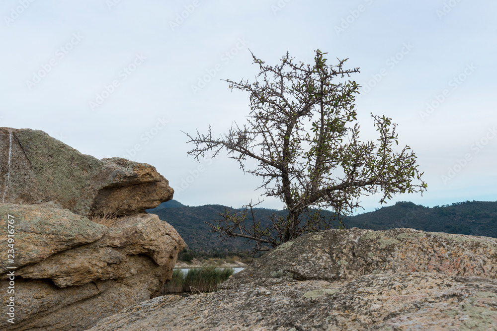 The Bafa Lake Natural Park takes place within the borders of Soke ...