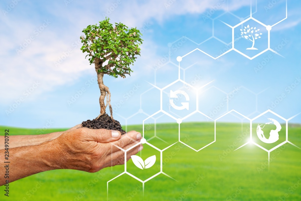 Ecology. Stock Illustration | Adobe Stock