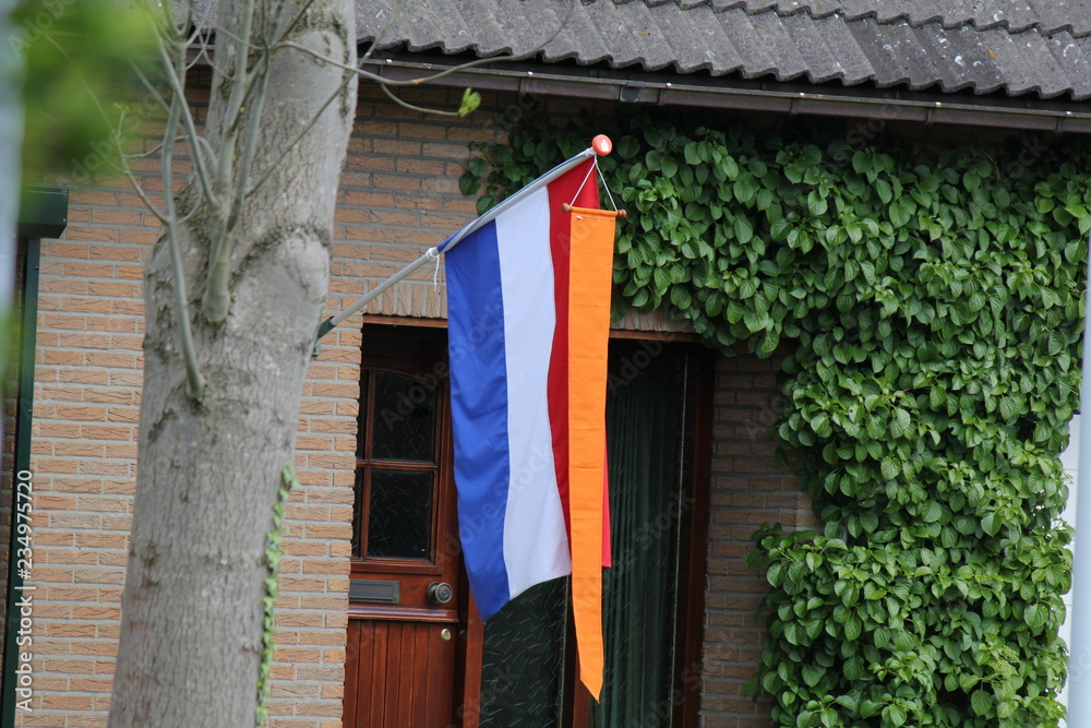 Netherlands Flag Orange