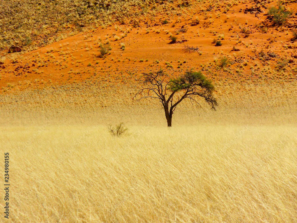 The Ennedi Plateau, located in the northeast of Chad, in the regions of ...