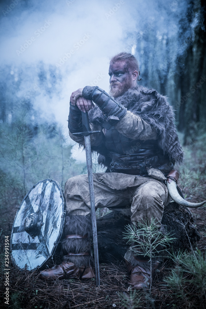 viking with red beard with armor shield and sword in the battle field ...