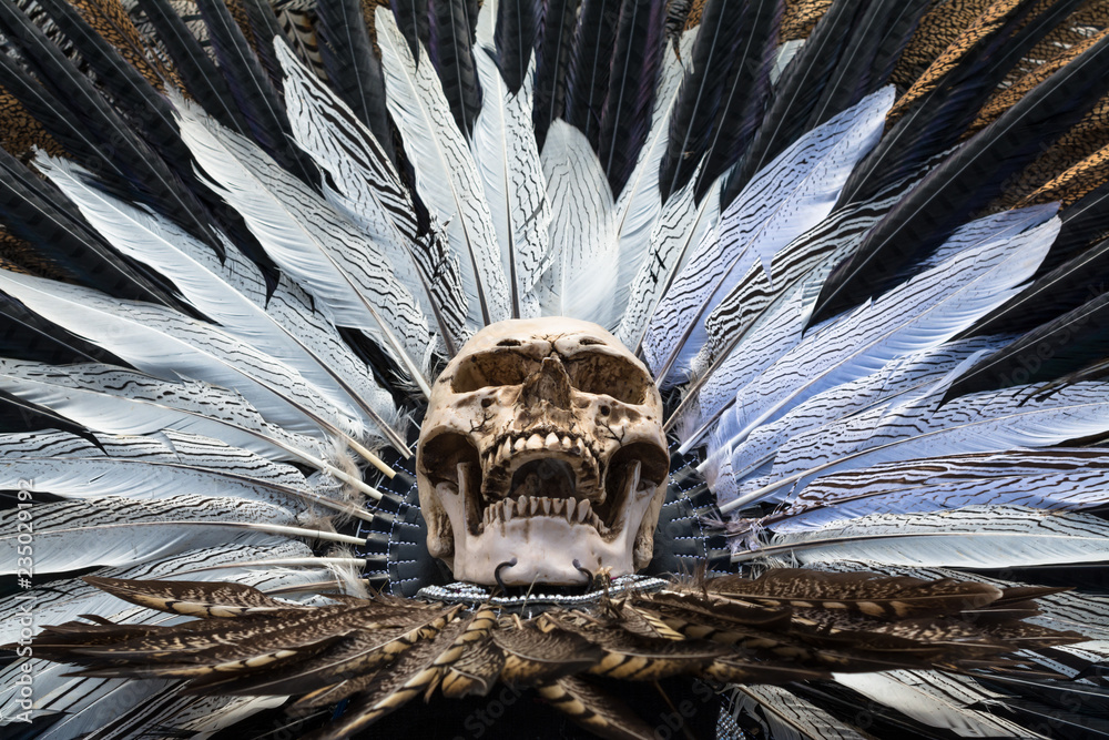 La calavera en el penacho para la danza mexicana. foto de Stock | Adobe Stock