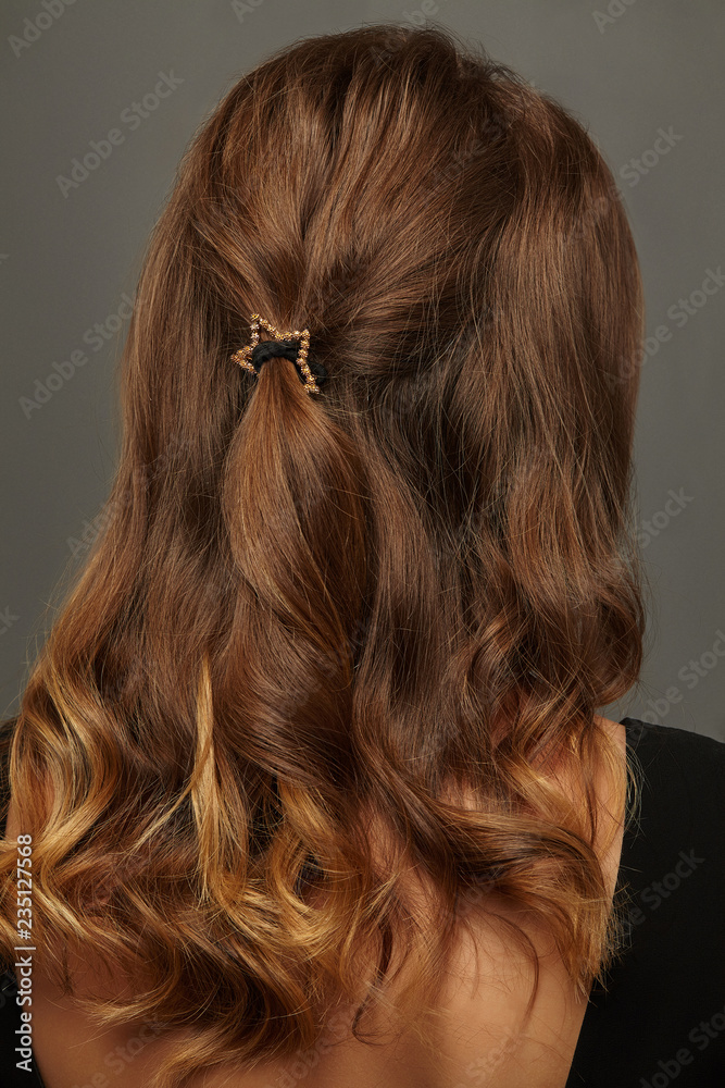 Up Hairstyles Back View