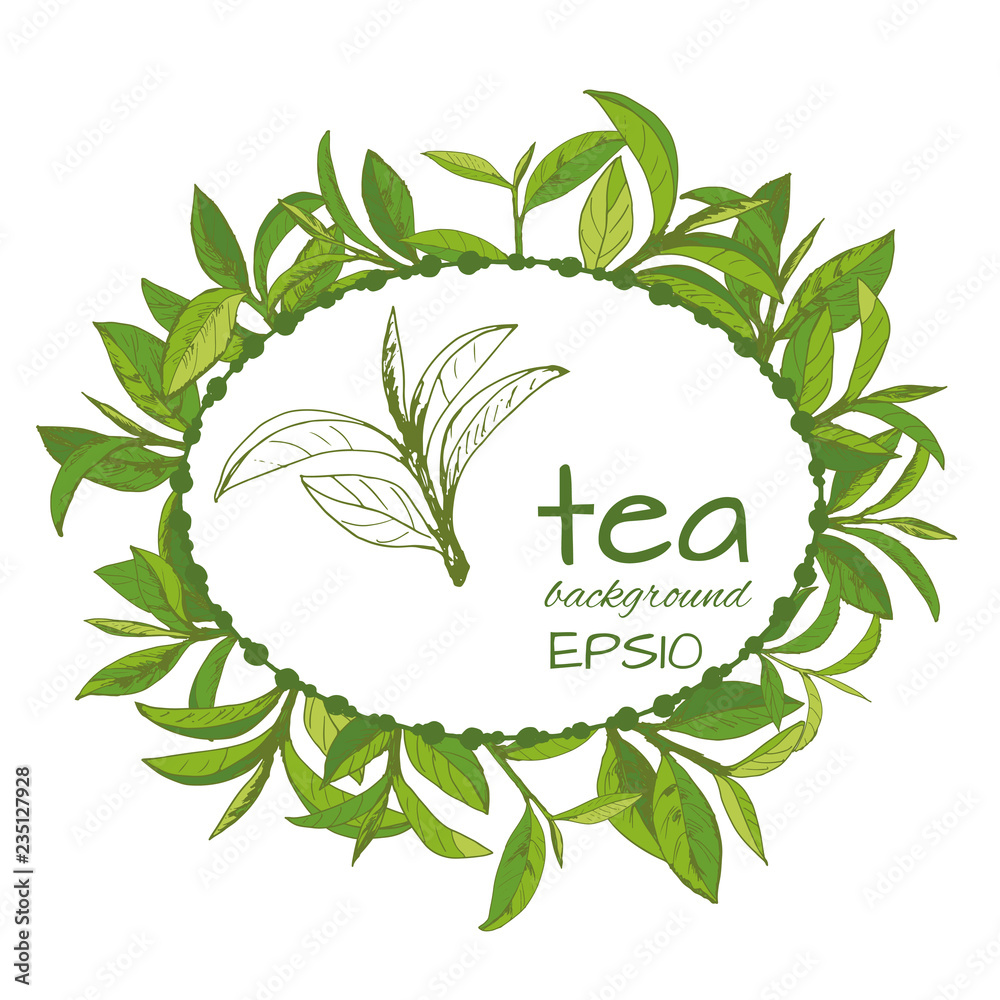 Vector logo of tea, leaves and branches, hand-drawn Stock Vector ...