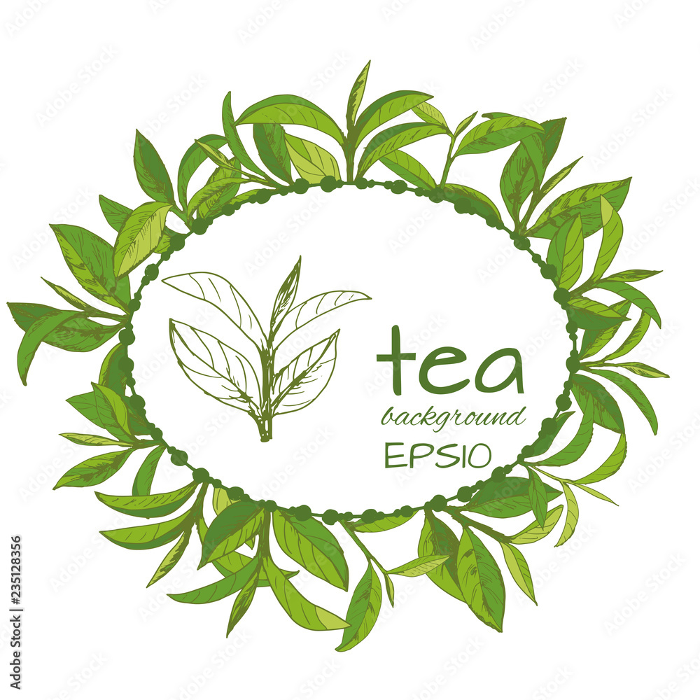 Vector logo of tea, leaves and branches, hand-drawn Stock Vector ...