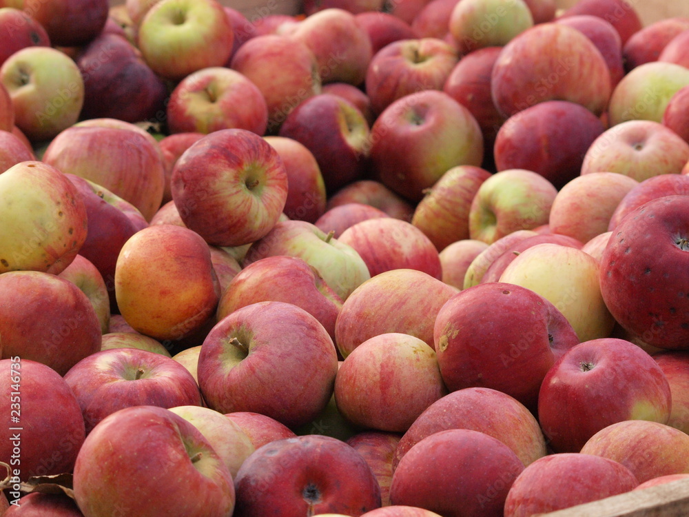 Farm Stand Apple