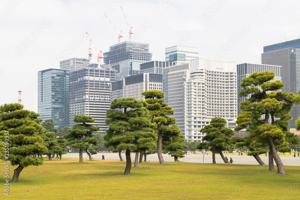 Nature or urban background with view of park in Tokyo, Japan, with ...