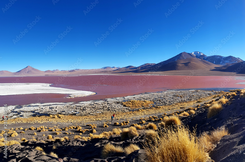 The colourful Laguna Colorada or "Red Lagoon" at 4,278 m, gets its red ...