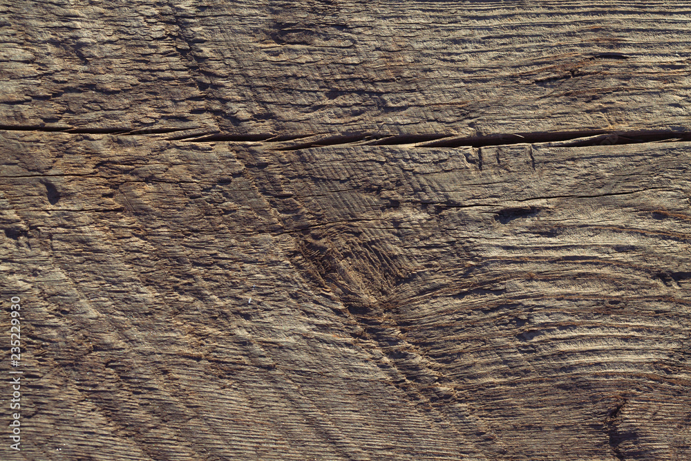 The marks on the tree from the circular saw. The baсkground of the tree ...