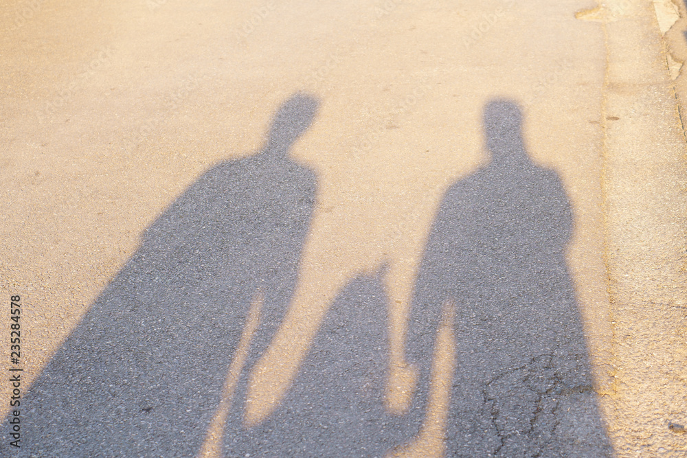 shadow or silhouette of family hand in hand is father mother and baby ...