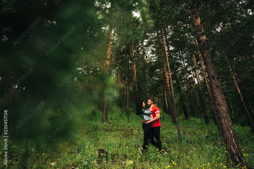A couple in love walks through the coniferous forest. Guy and girl ...