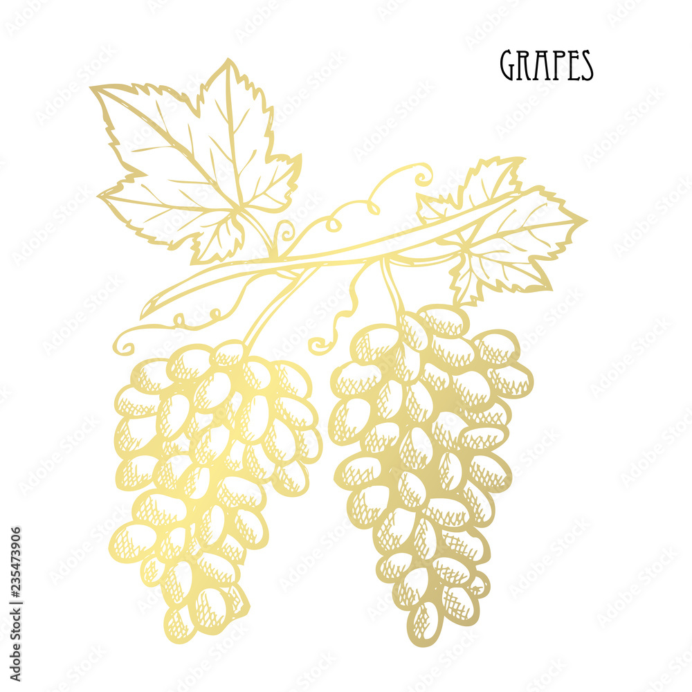 Gold Grapes