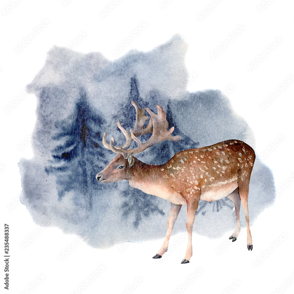Watercolor deer in winter forest. Hand painted animal illustration with ...