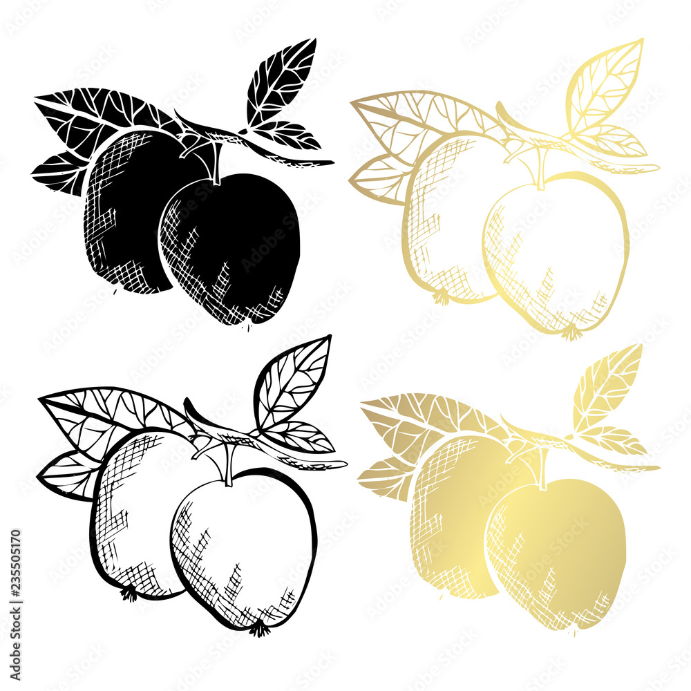 hand drawn golden fruits set Stock Vector | Adobe Stock
