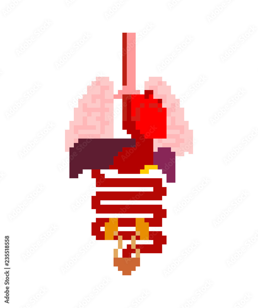 Internal organ pixel art set. 8 bit anatomy of human body. Heart and ...