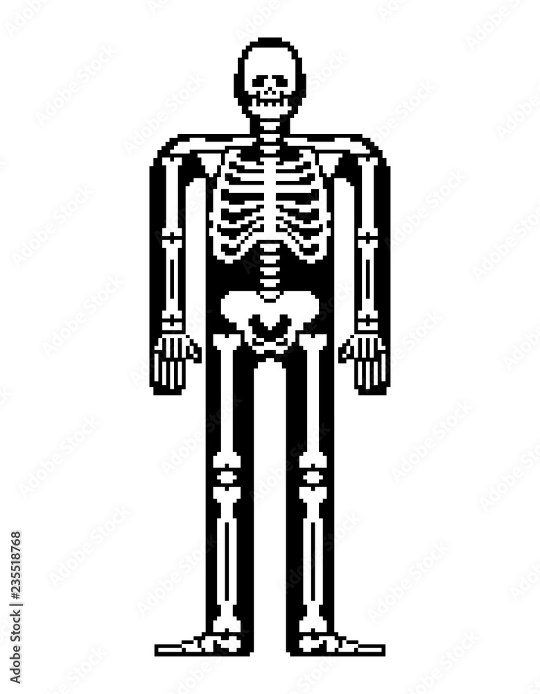 Skeleton pixel art. Skull and Bones anatomy 8 bit. Pixelate Pelvic bone ...