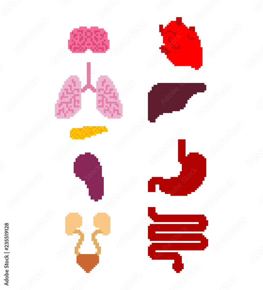 Internal organ pixel art set. 8 bit anatomy of human body. Heart and ...