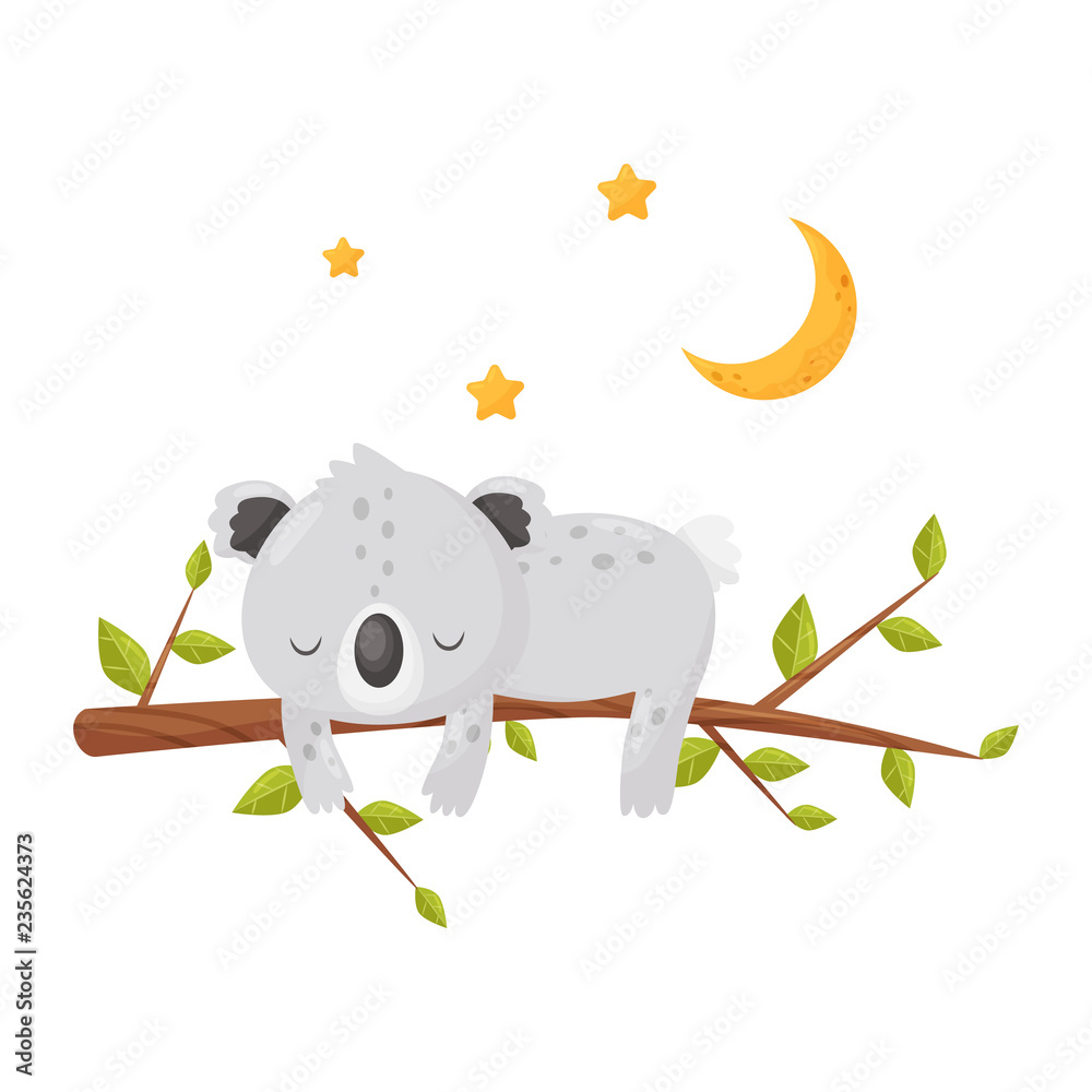 Cute koala bear sleeping on a branch under a starry sky, lovely animal ...