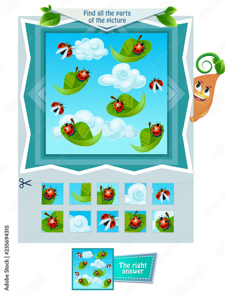 Ladybug Anatomy-Body Parts Of Ladybug Labeling, Definition, Coloring ...