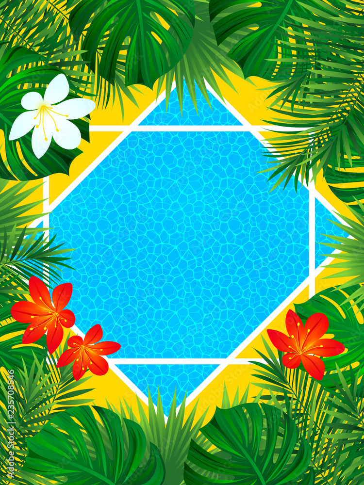 Tropical Borders And Frames