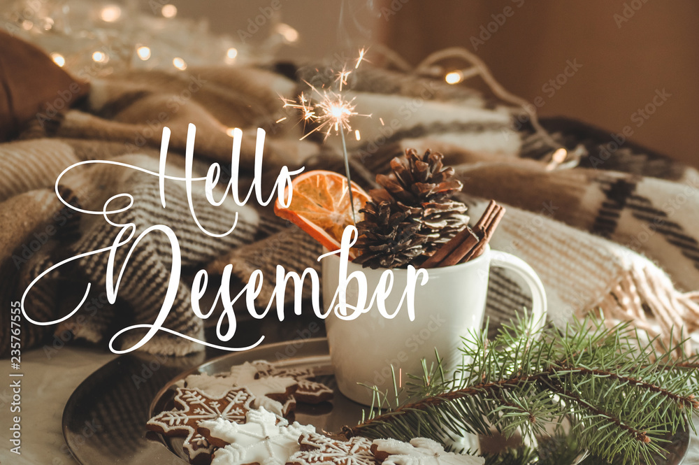 Hello December. Cup with cones and dry orange with sparkler, fir branch ...