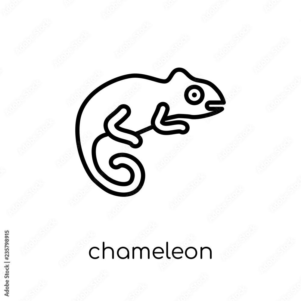 Chameleon Icon