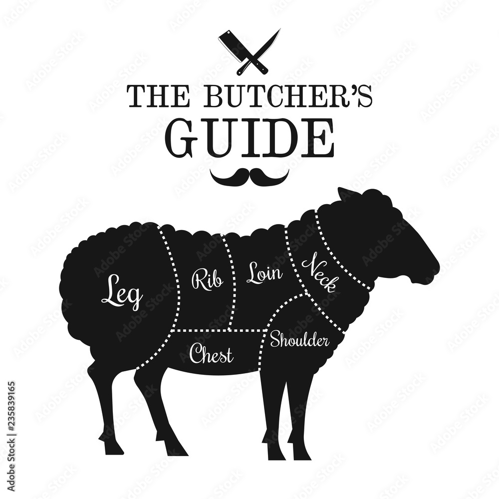 Vetor de Mutton and lamb cut lines diagram graphic poster, guide for ...