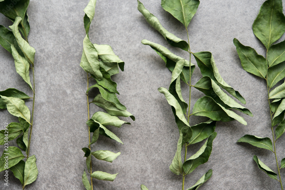 Dried curry leaves Stock Photo | Adobe Stock
