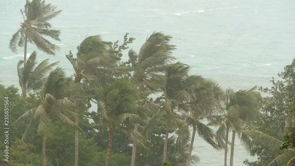 Seaside landscape during natural disaster hurricane. Strong cyclone ...