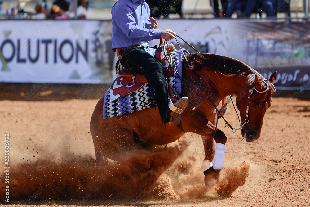 The side view of a rider in jeans, cowboy chaps and checkered shirt on ...