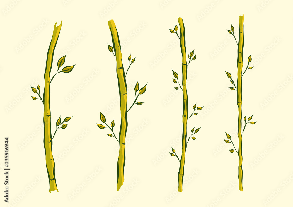 Bamboo tree, plant, Green bamboo seamless vertical border with ...