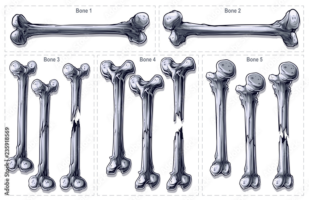 Detailed graphic realistic black and white different isolated broken ...