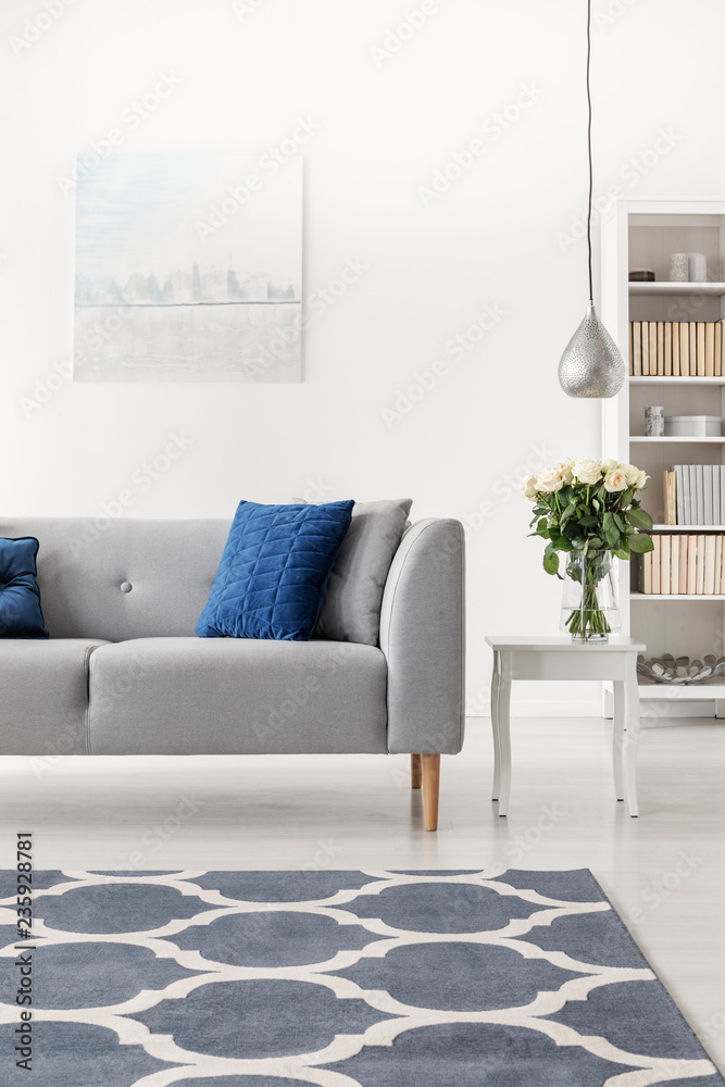 Patterned carpet on the floor of white elegant new york style living ...