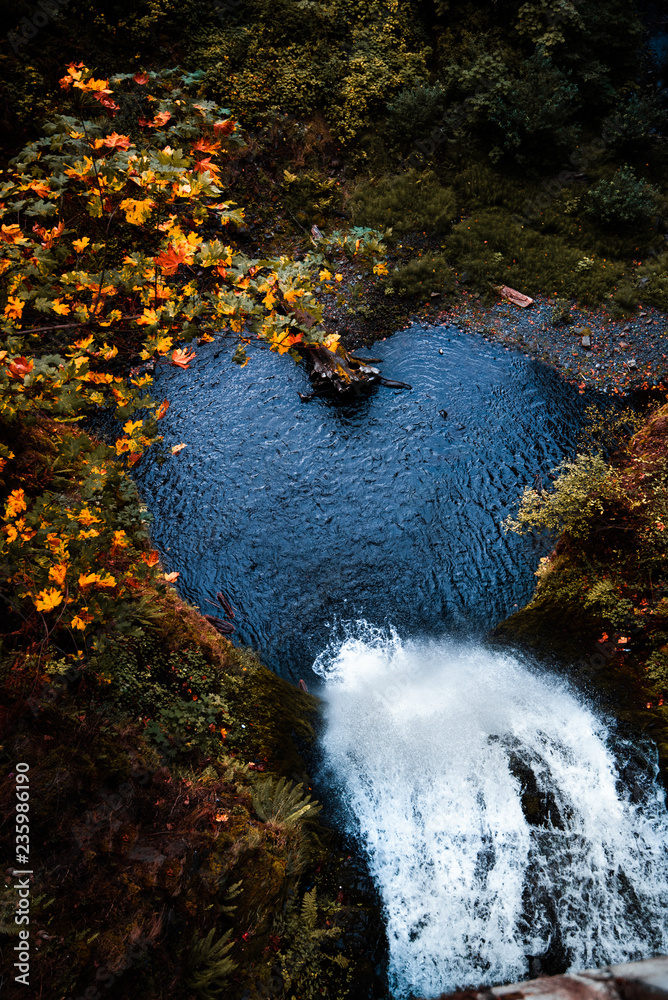 Hearts In Nature Fall
