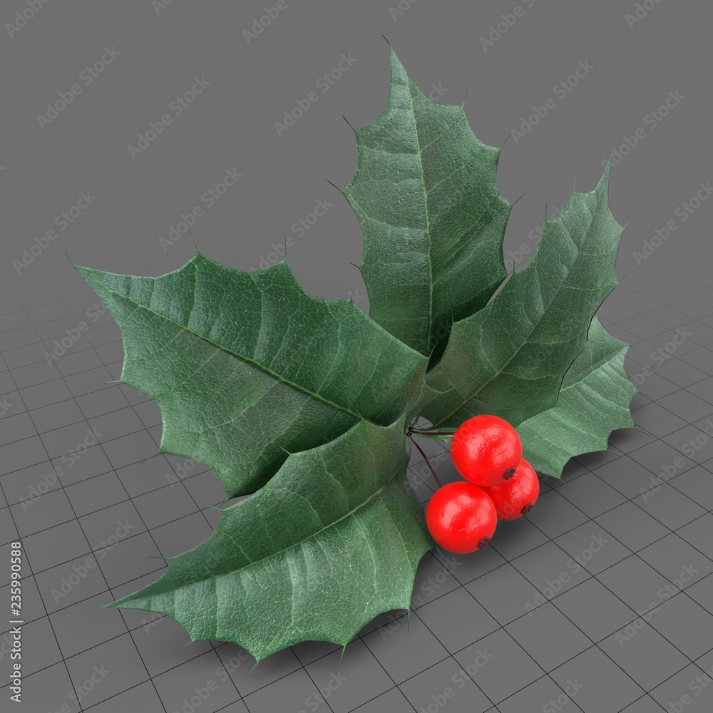Holly berry leaves and fruits 1 Stock 3D asset | Adobe Stock