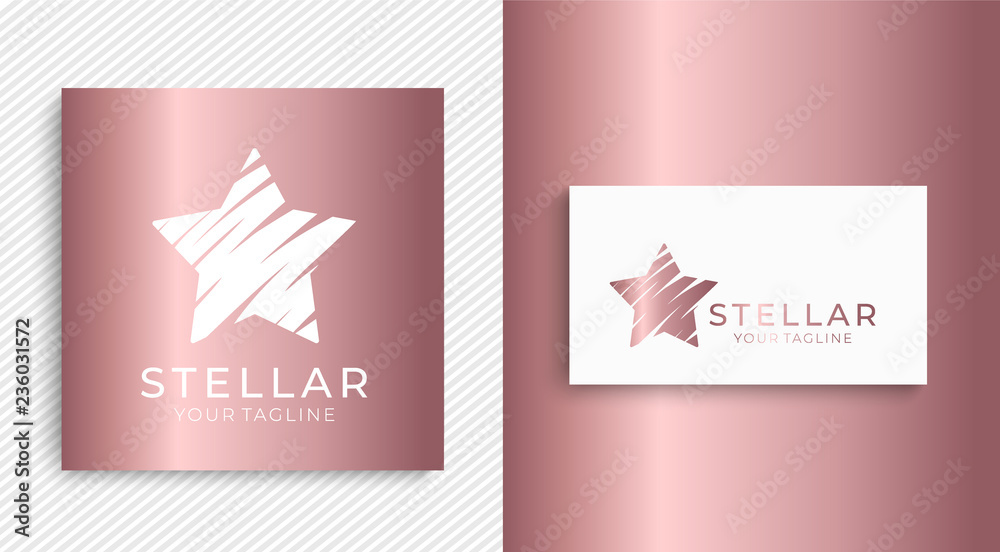 Star logo vector. Universal abstract logo with a star symbol for any ...