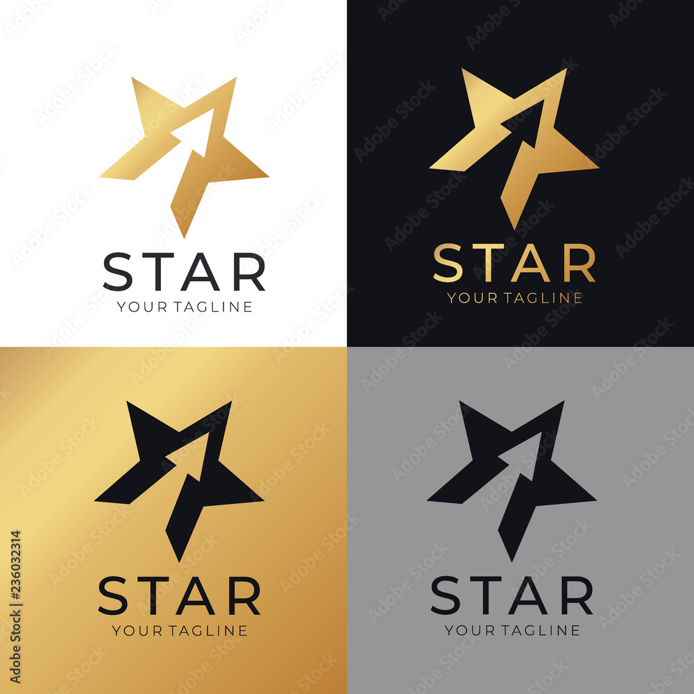 Star logo vector. Universal abstract logo with a star symbol for any ...