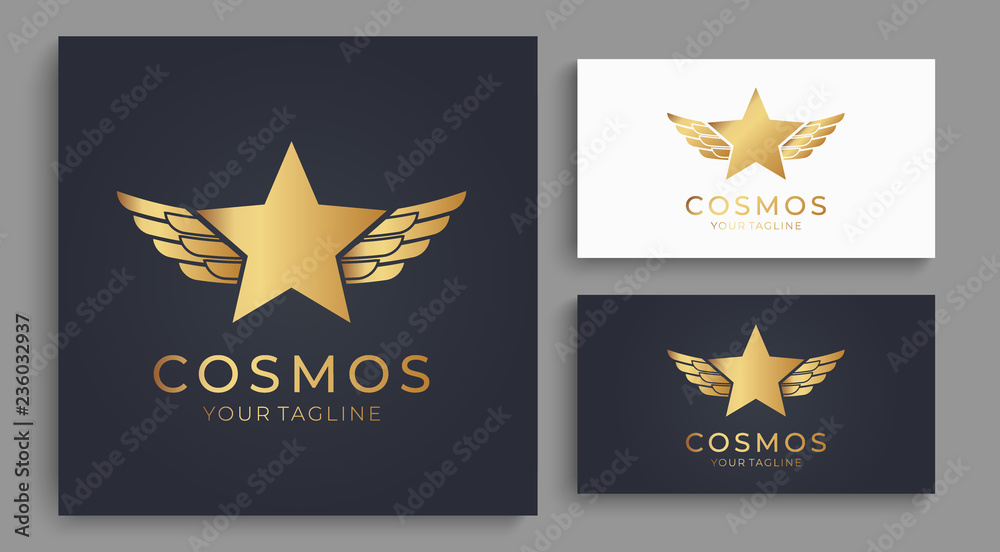 Star logo vector. Universal abstract logo with a star symbol for any ...