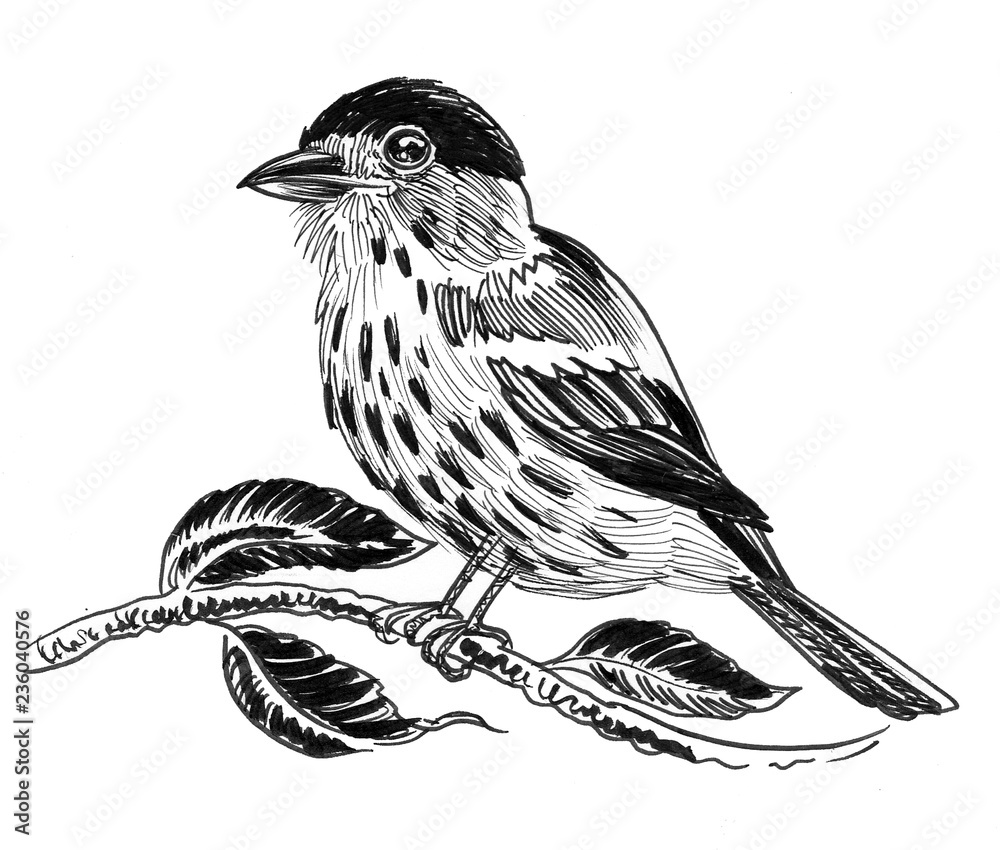 Cute bird sitting on a tree branch Stock Illustration | Adobe Stock