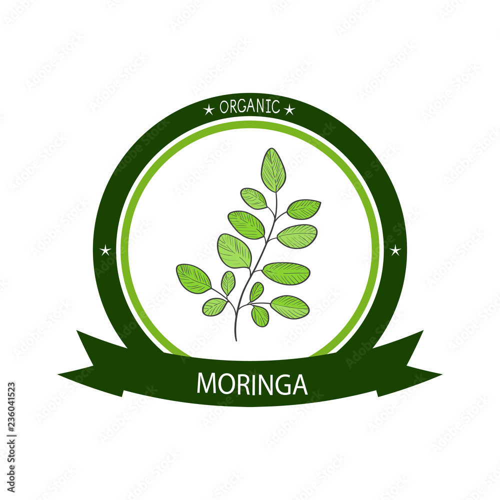 Moringa. Plant. Logo, emblem, symbol, symbol, sticker. Stock Vector ...