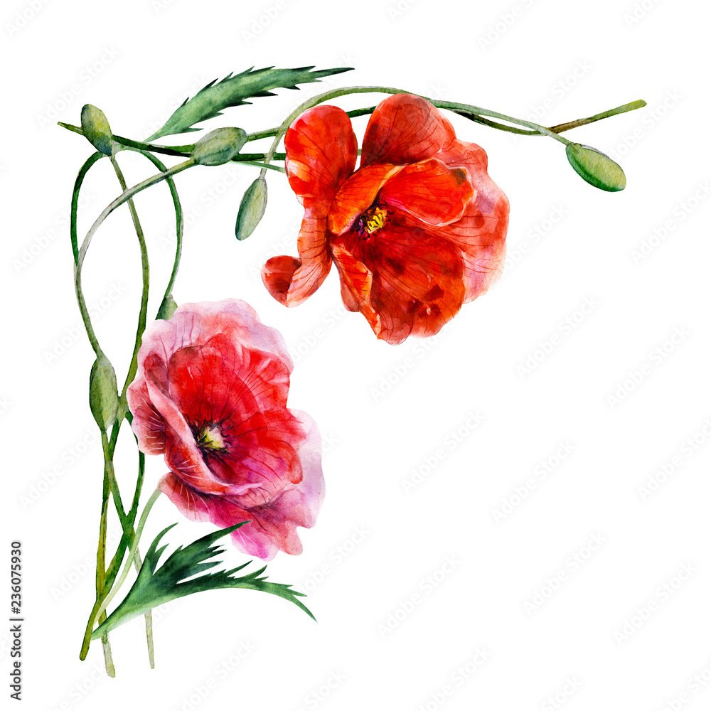 Color Corner Border Designs