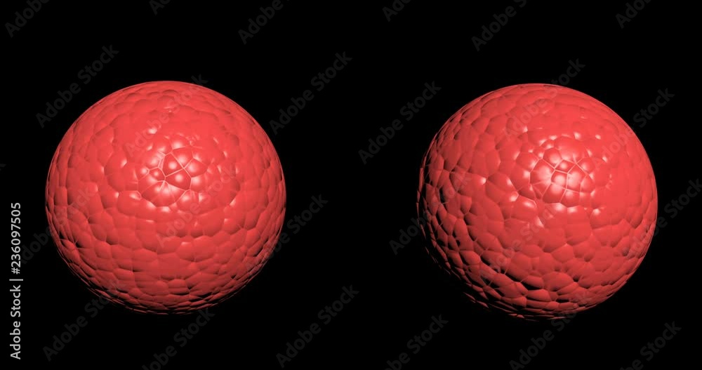 Red Cellular division of an in vitro fetus under the microscope,generic ...
