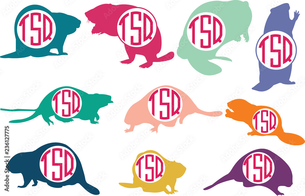 Beaver silhouette - circle frame monogram. Vector icon isolated on ...