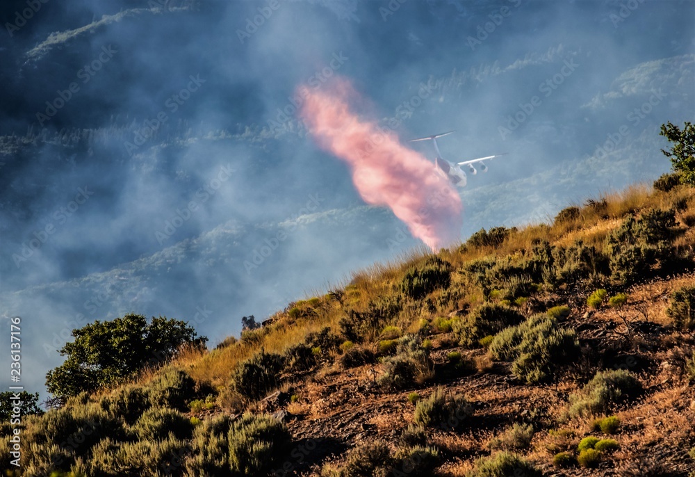 Slurry bomber fights wildfires. Aerial Firefighting in Utah Stock Photo ...