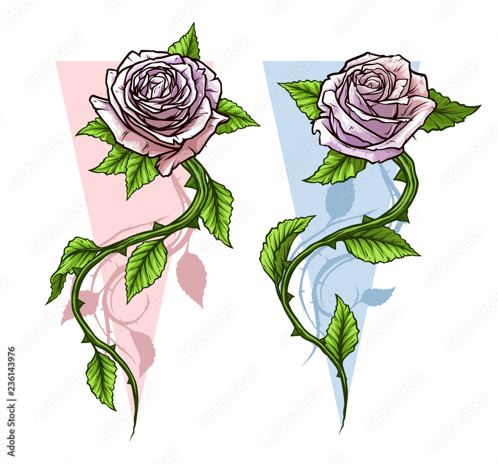 2 Roses Clipart Background