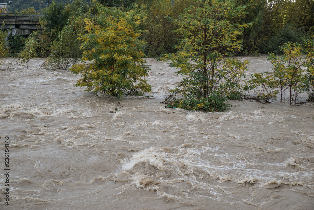 Overflow of a river after a period of heavy rain. Trees felled by the ...