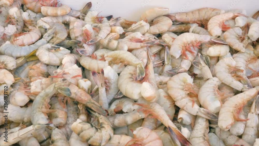 Pan over a pile of raw shrimp at a fish market by the ocean in 4k ...