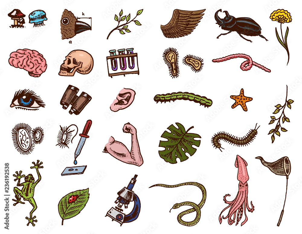 Scientific laboratory in Biology. Icon Set of Biochemistry Research ...